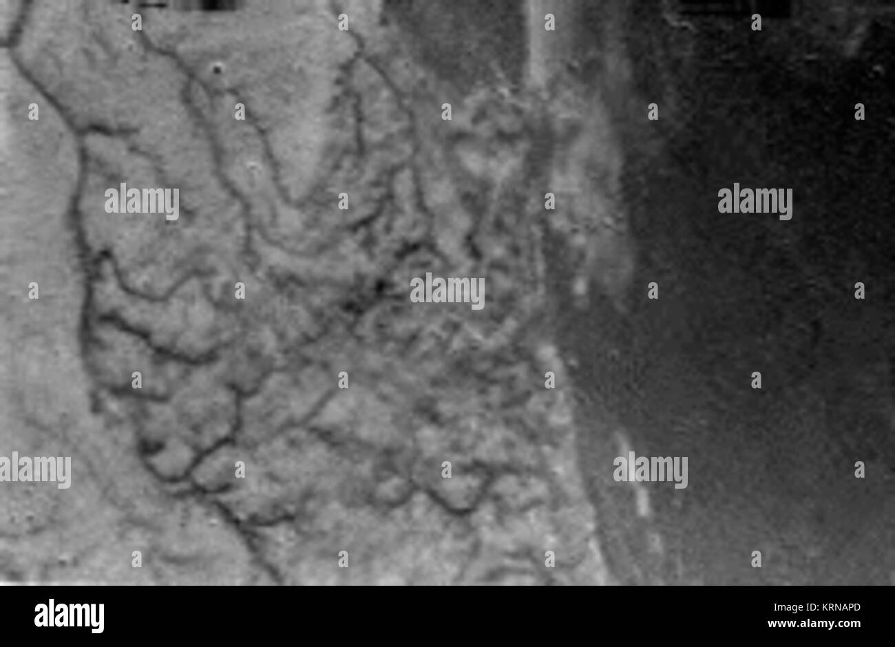 Drainage channels and shoreline on Titan by Huygens probe Stock Photo ...