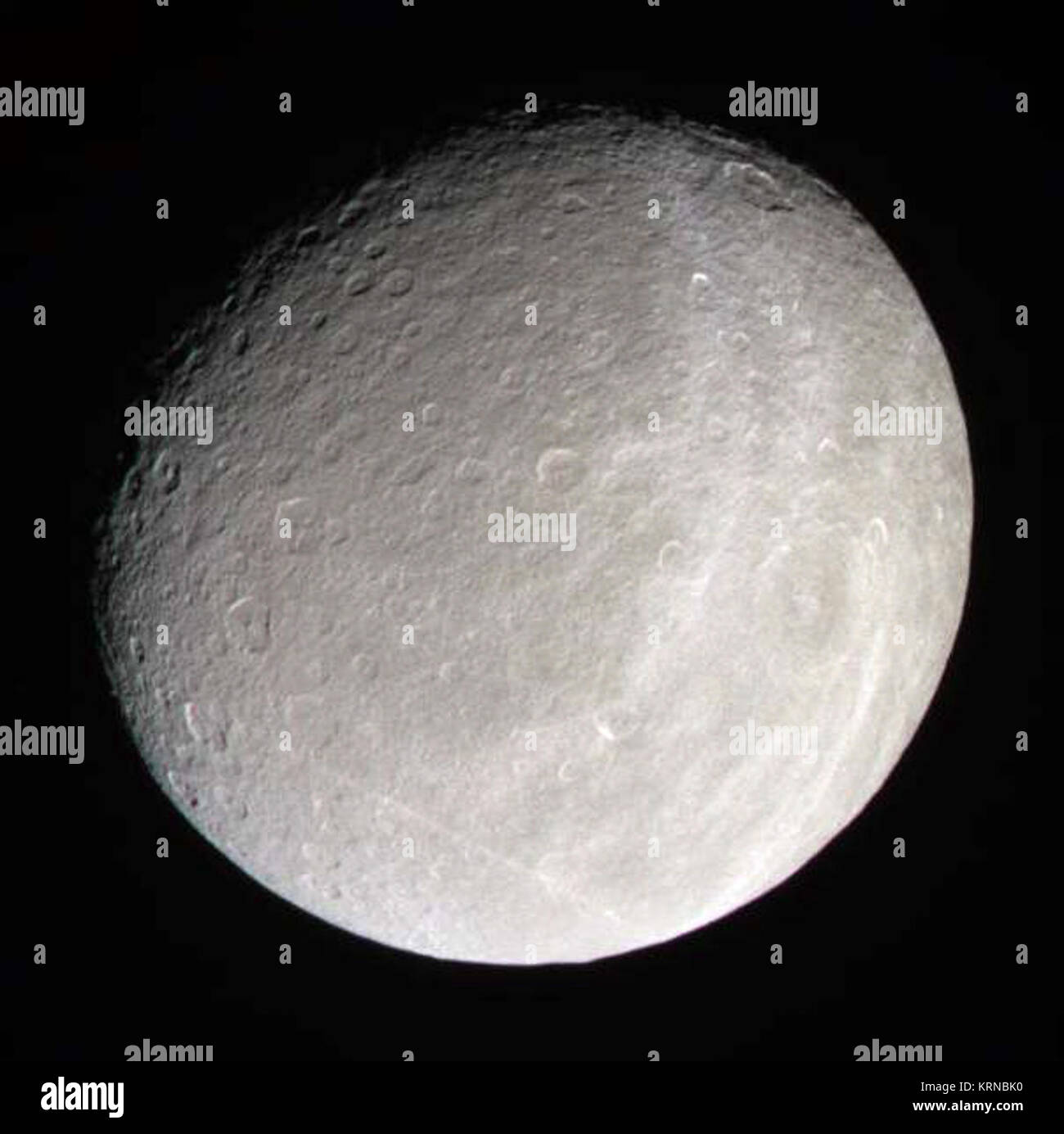 Rhea true color Stock Photo - Alamy