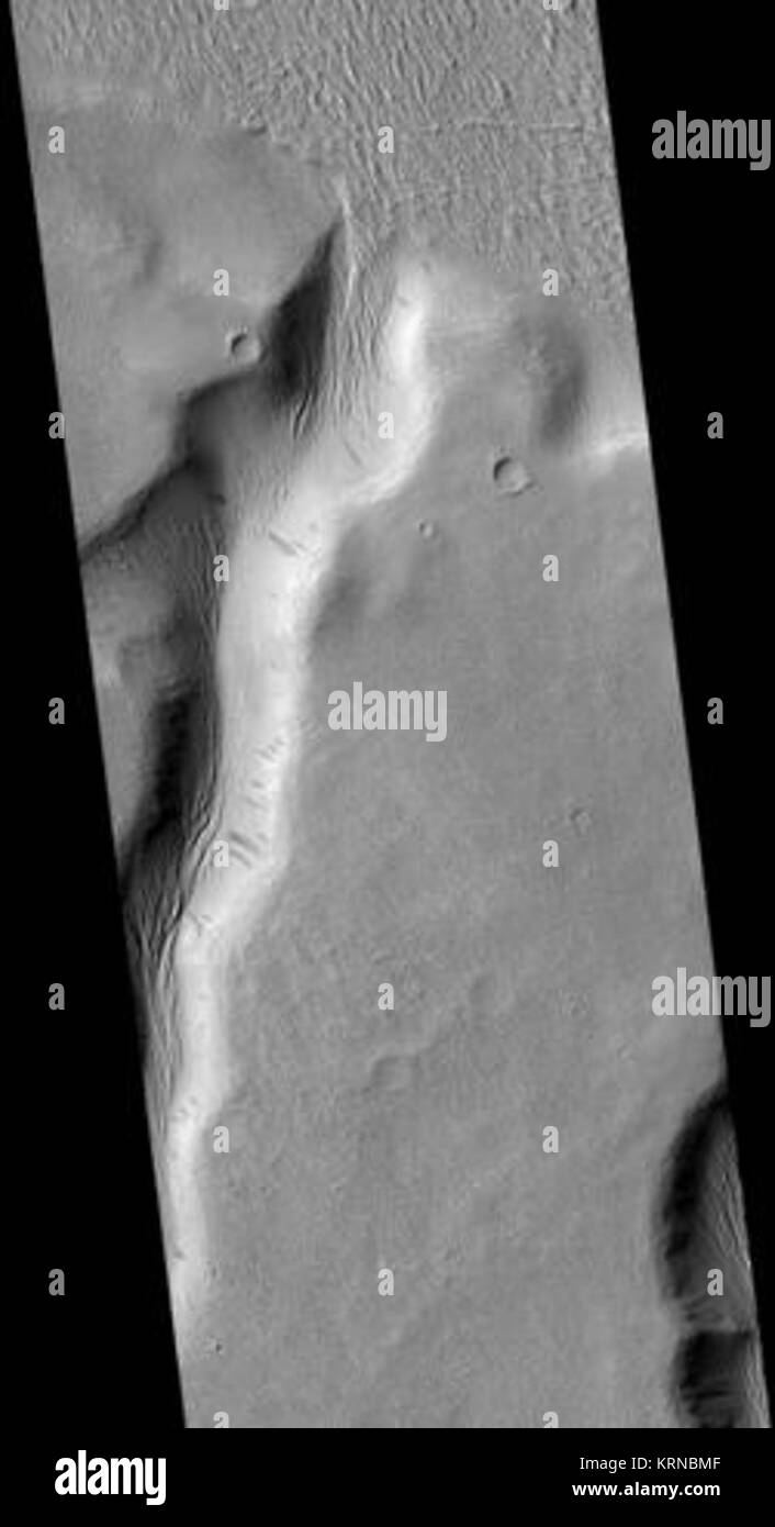 Tinia hi-res stock photography and images - Alamy