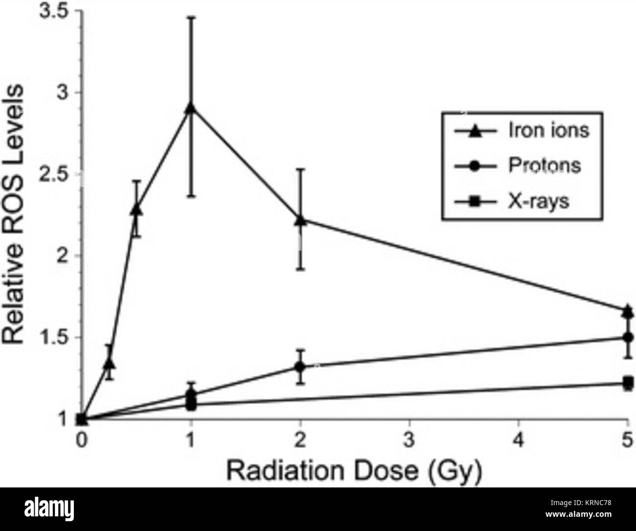 CNS Figure 2 Stock Photo - Alamy