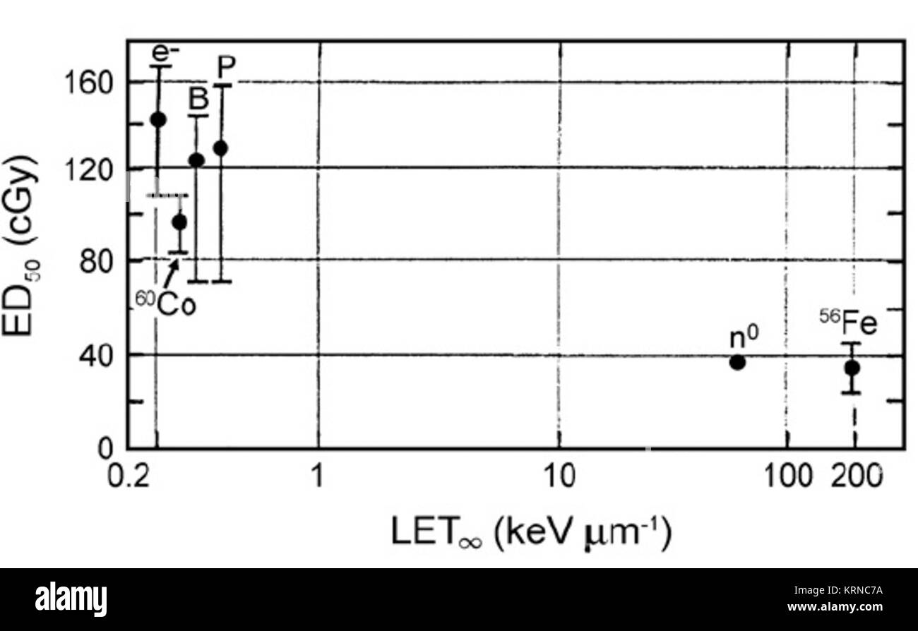 CNS Figure 7 Stock Photo - Alamy