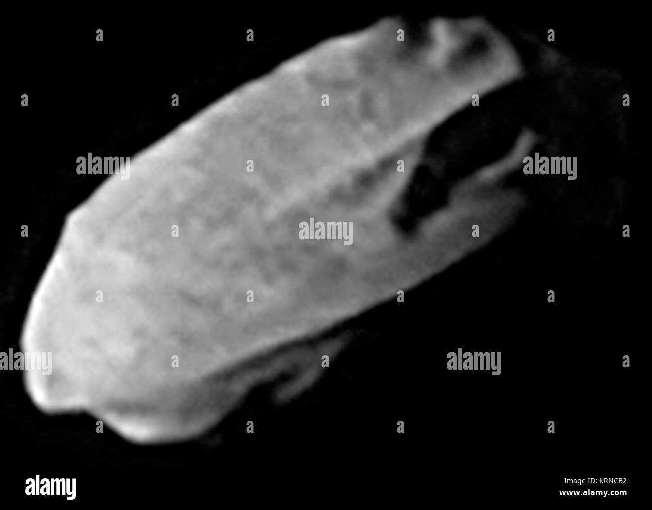 Daphnis Black and White Stock Photos & Images - Alamy