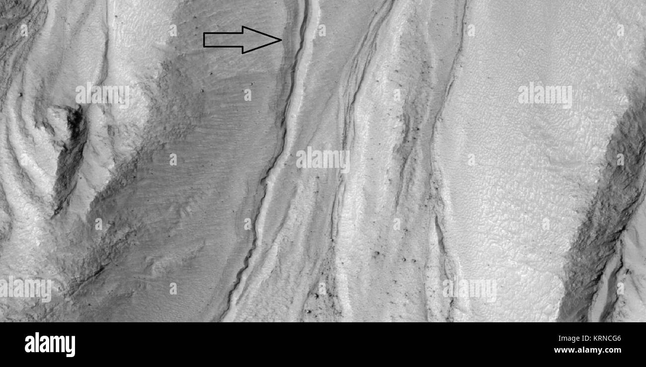 47963 hi-res stock photography and images - Alamy