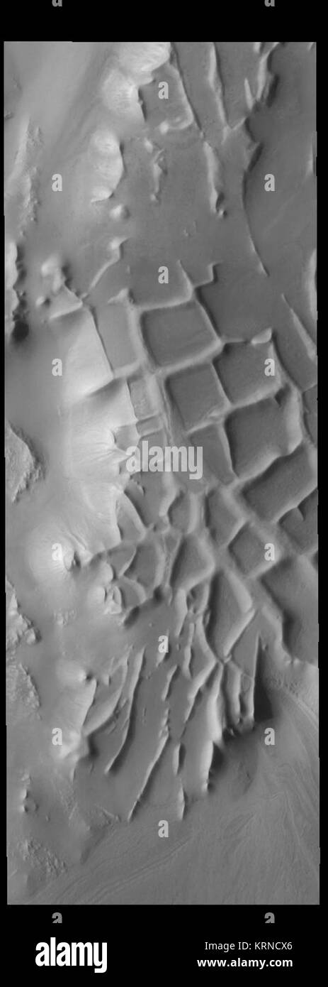 Labyrinthus hi-res stock photography and images - Alamy