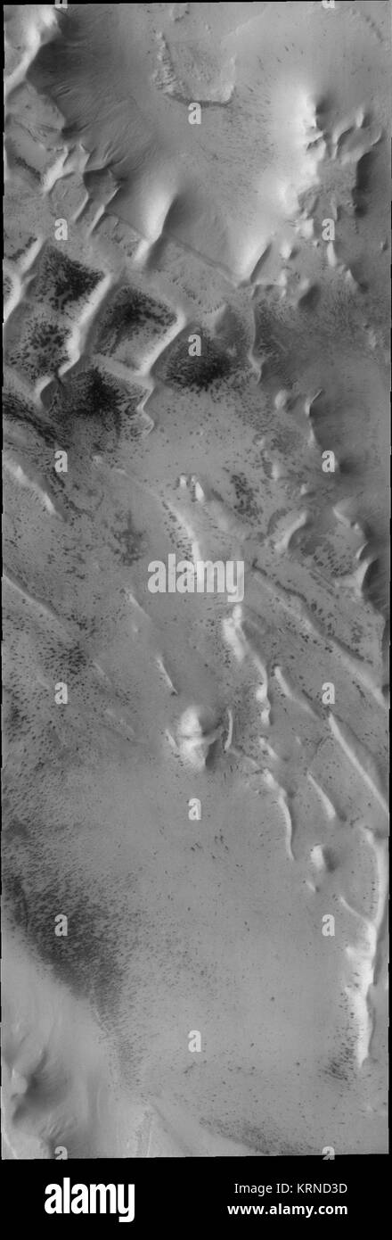 Angustus hi-res stock photography and images - Alamy