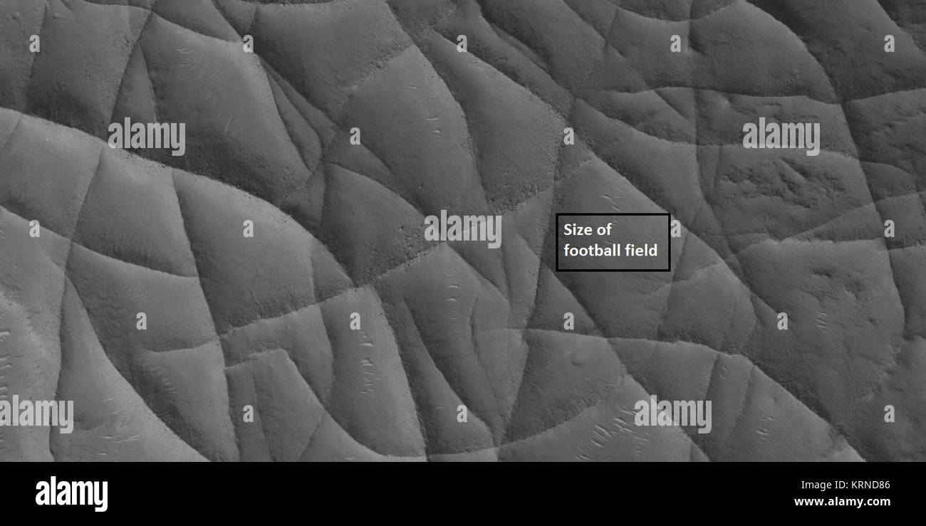 Body ridges Black and White Stock Photos & Images - Alamy