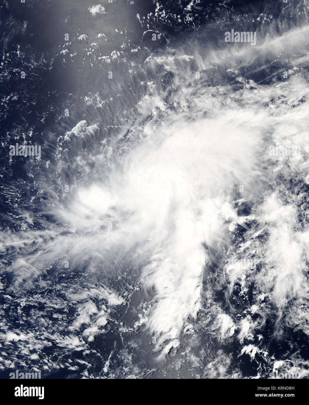 Muifa hi-res stock photography and images - Alamy