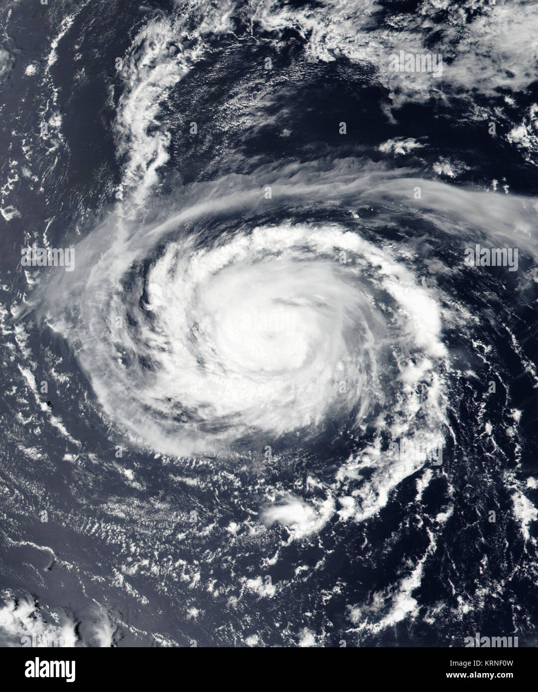 Noru High Resolution Stock Photography and Images - Alamy