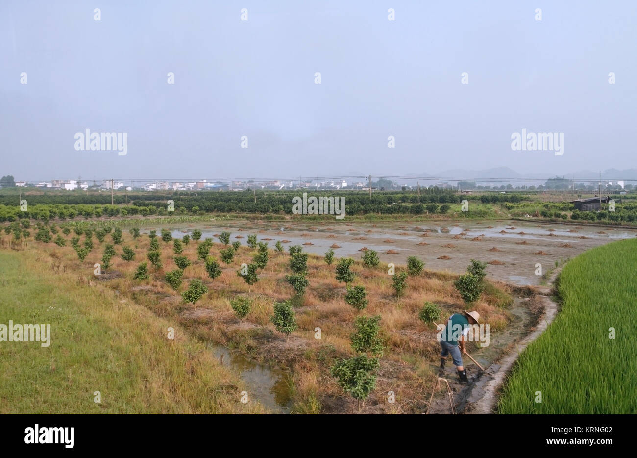 Farm in Guilin, China Stock Photo - Alamy