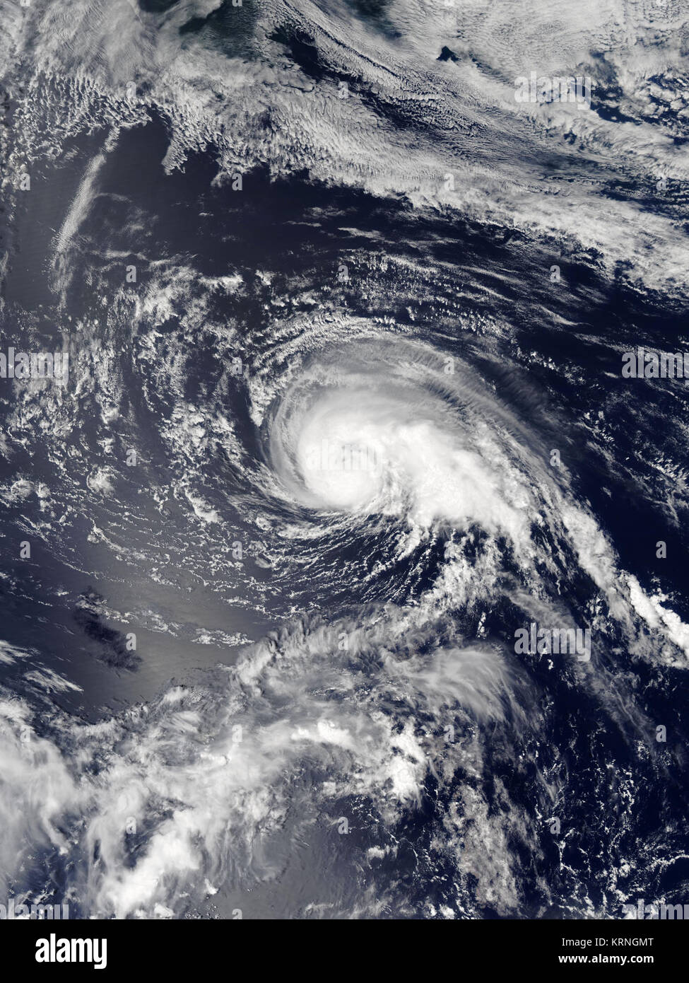 Kulap hi-res stock photography and images - Alamy