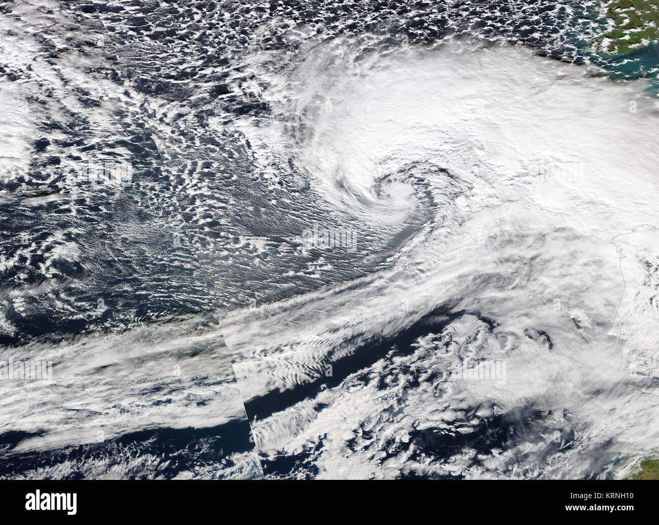 Klaus 23 January 2009 Stock Photo - Alamy