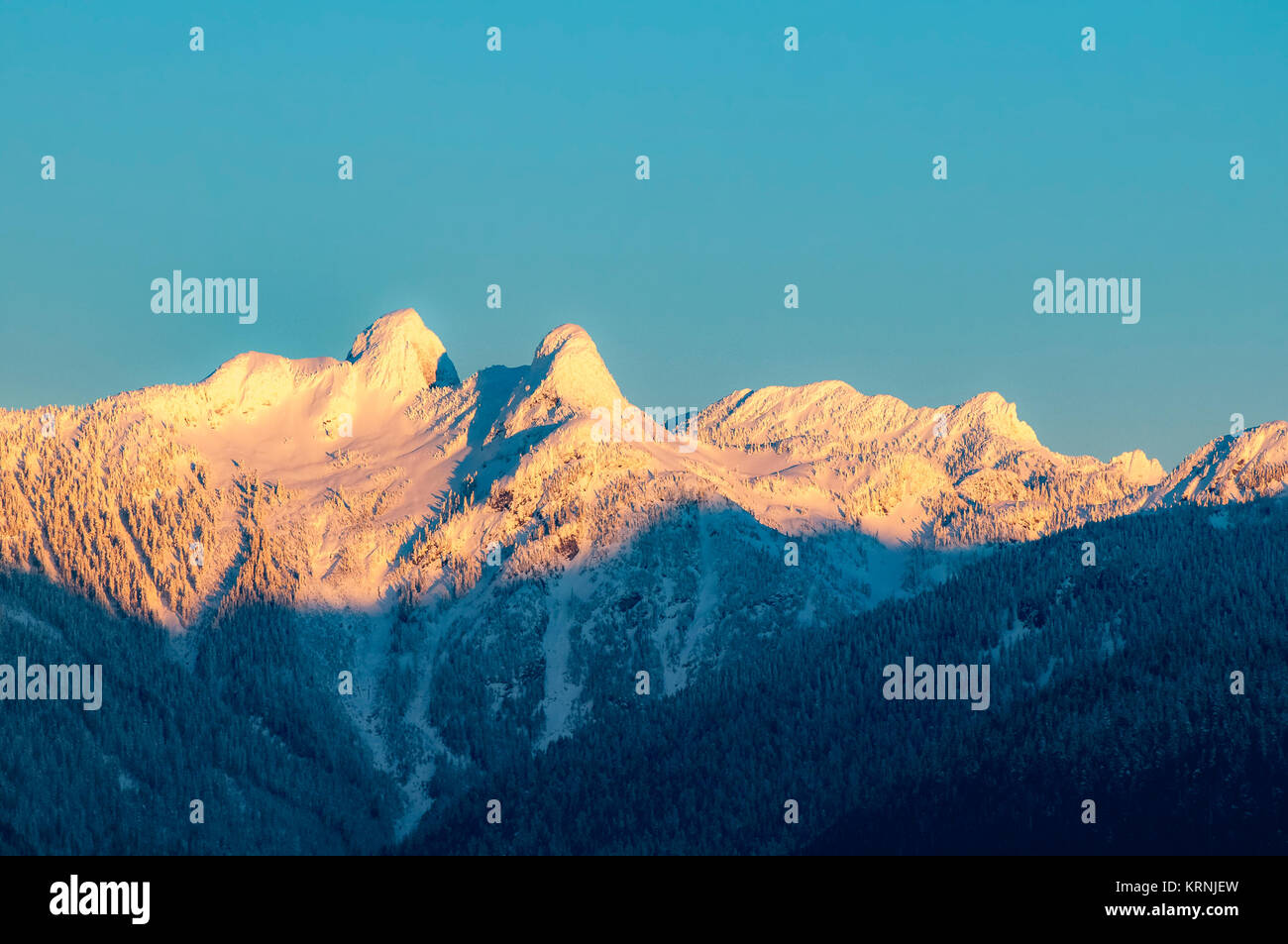 North shore lions hi-res stock photography and images - Alamy