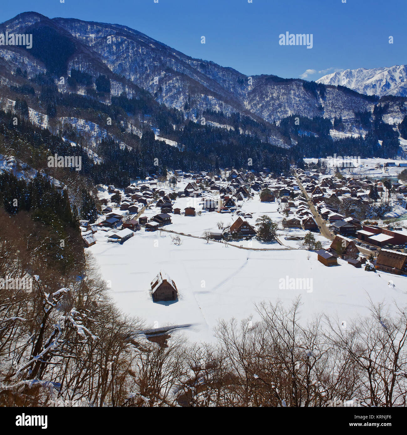 View from the Shiroyama Viewpoint at Ogimachi Village in Shirakawago, a ...