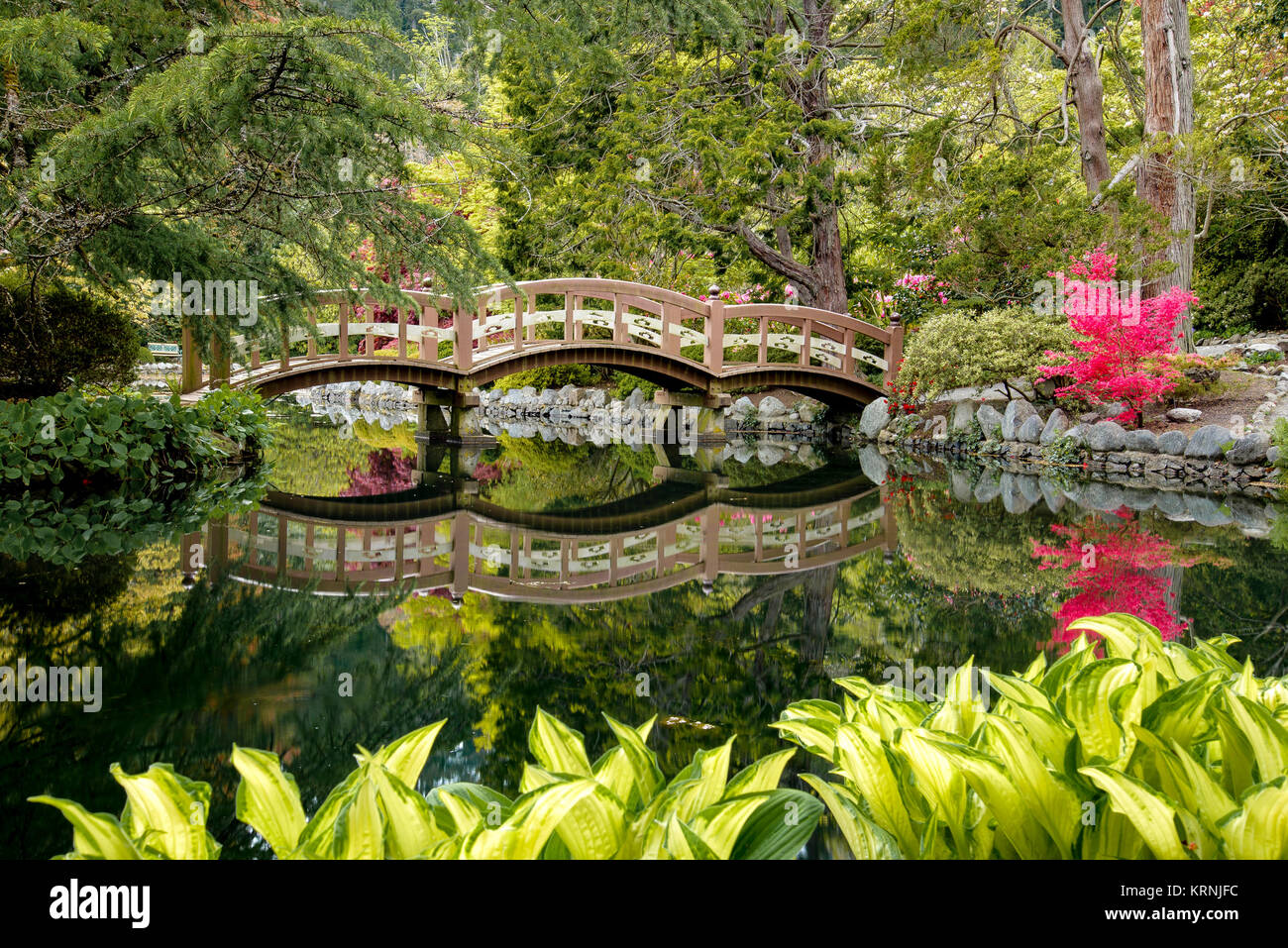 Japan Garden Bridge Tree Image Of Upper Pond'S Zigzag Shaped Bridge