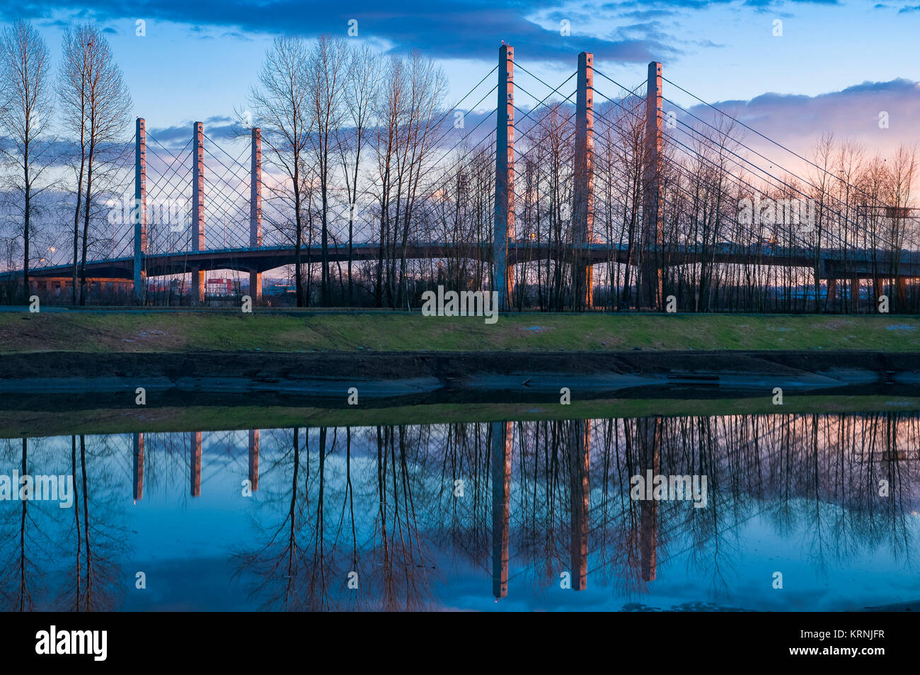 Pitt River bridge, Pitt River Intertidal habitat, Port Coquitlam ...