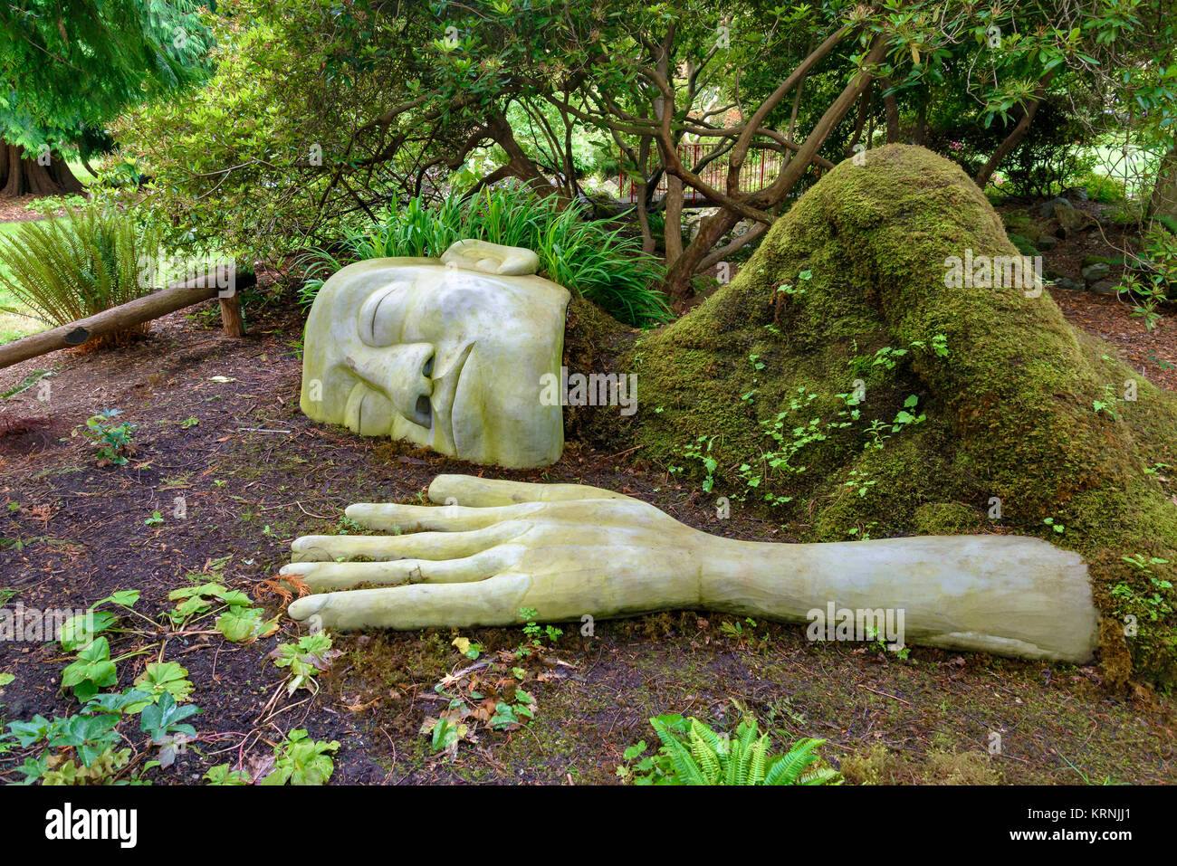 Moss Lady High Resolution Stock Photography and Images - Alamy