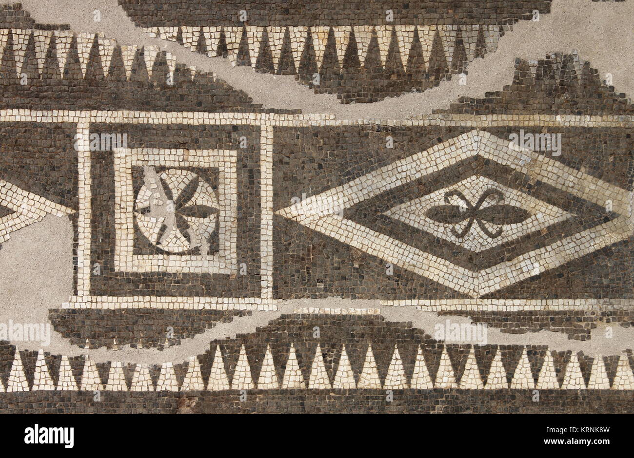 Ancient mosaic pattern in Caracalla Baths. Rome, Italy Stock Photo - Alamy