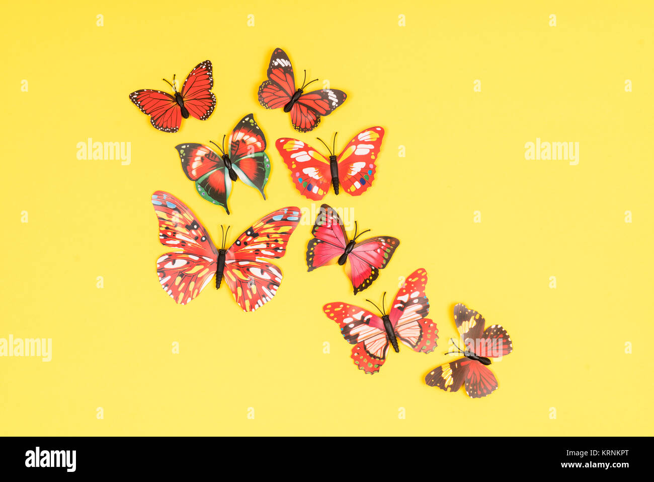 decorative butterflies on a colored background Stock Photo - Alamy