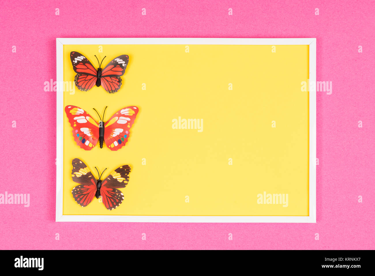 decorative butterflies in a white frame on a colored background Stock ...