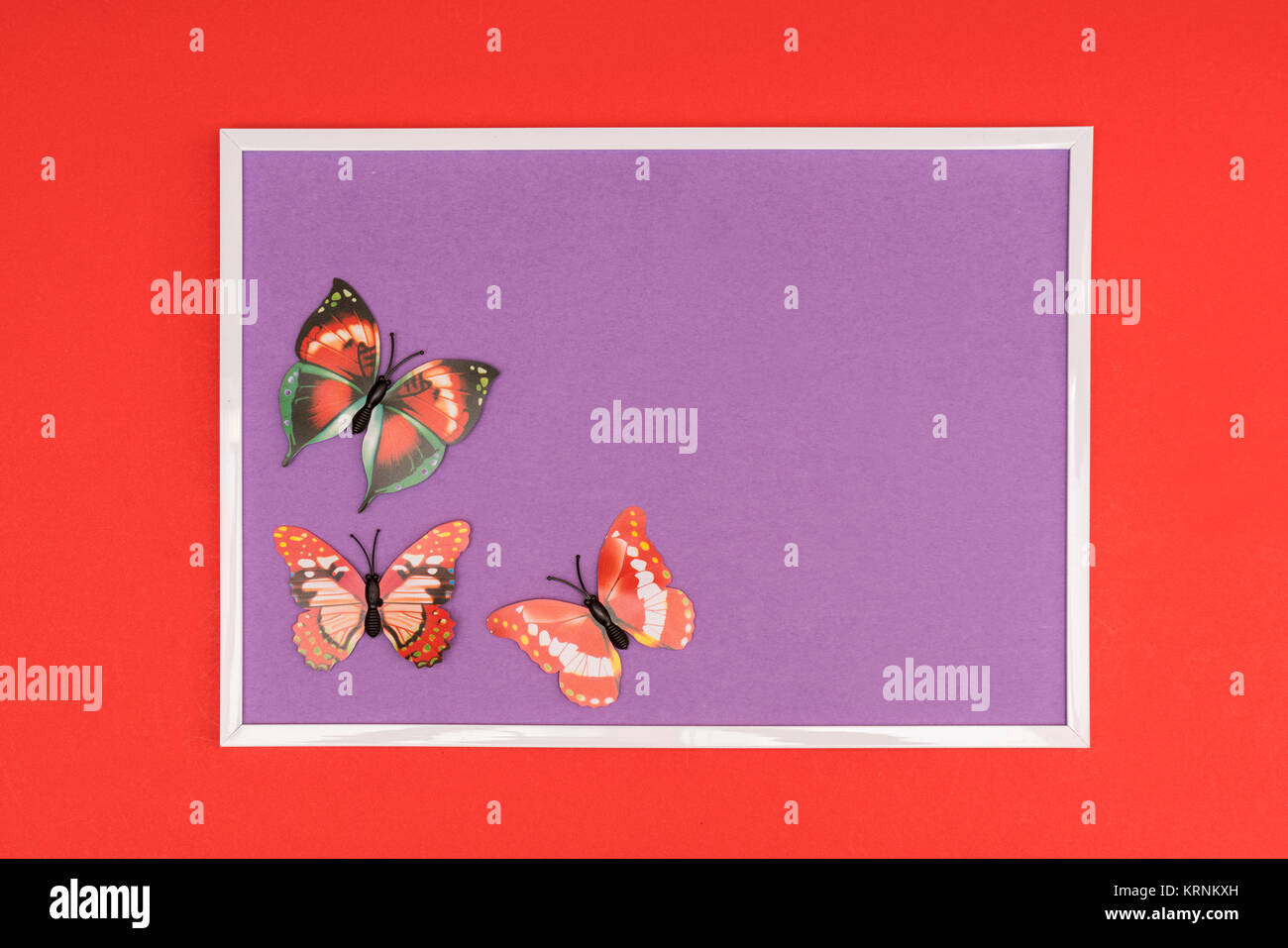 decorative butterflies in a white frame on a colored background Stock ...