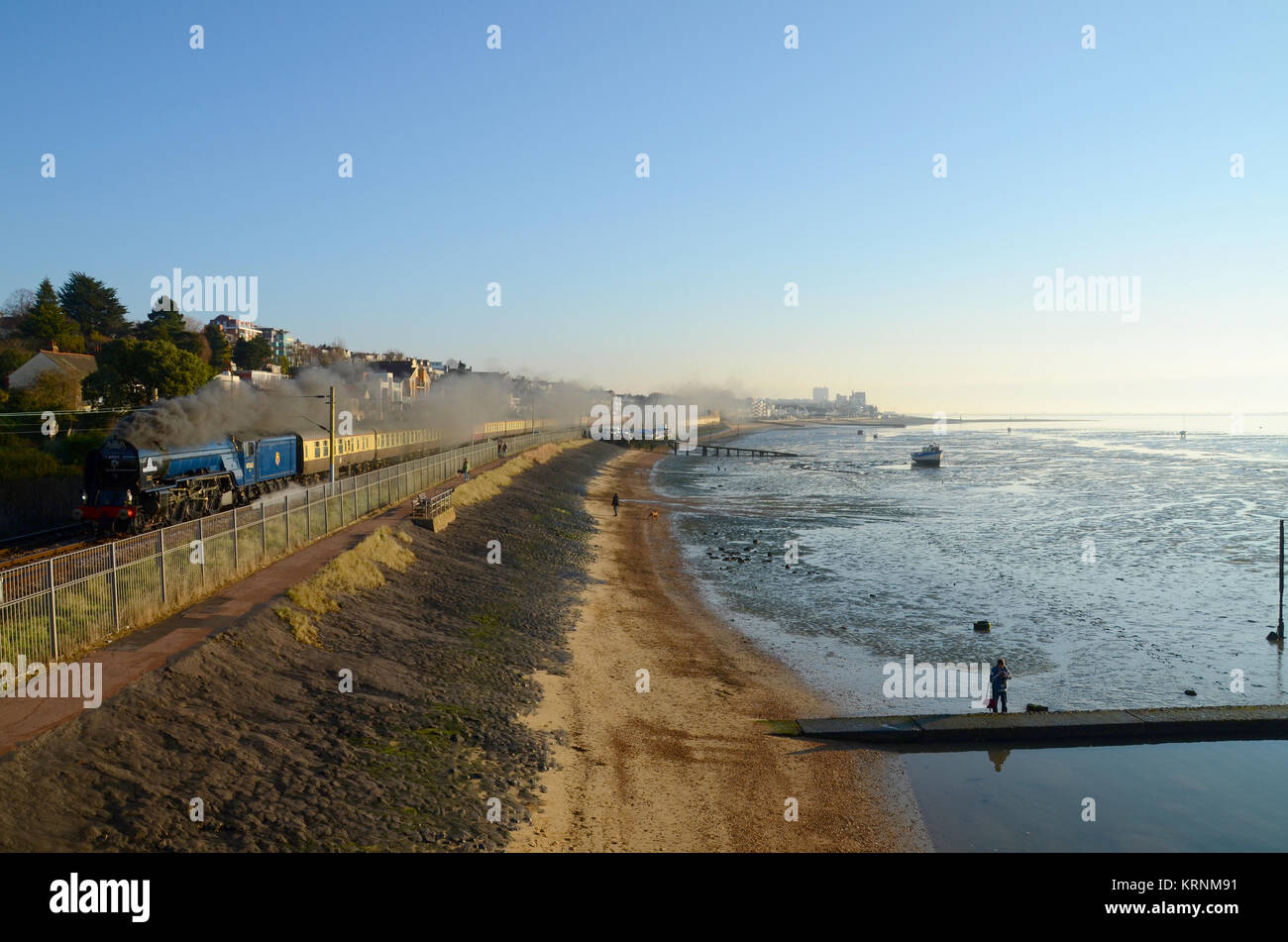 Tornado steam locomotive hauling a train from Southend passing the ...