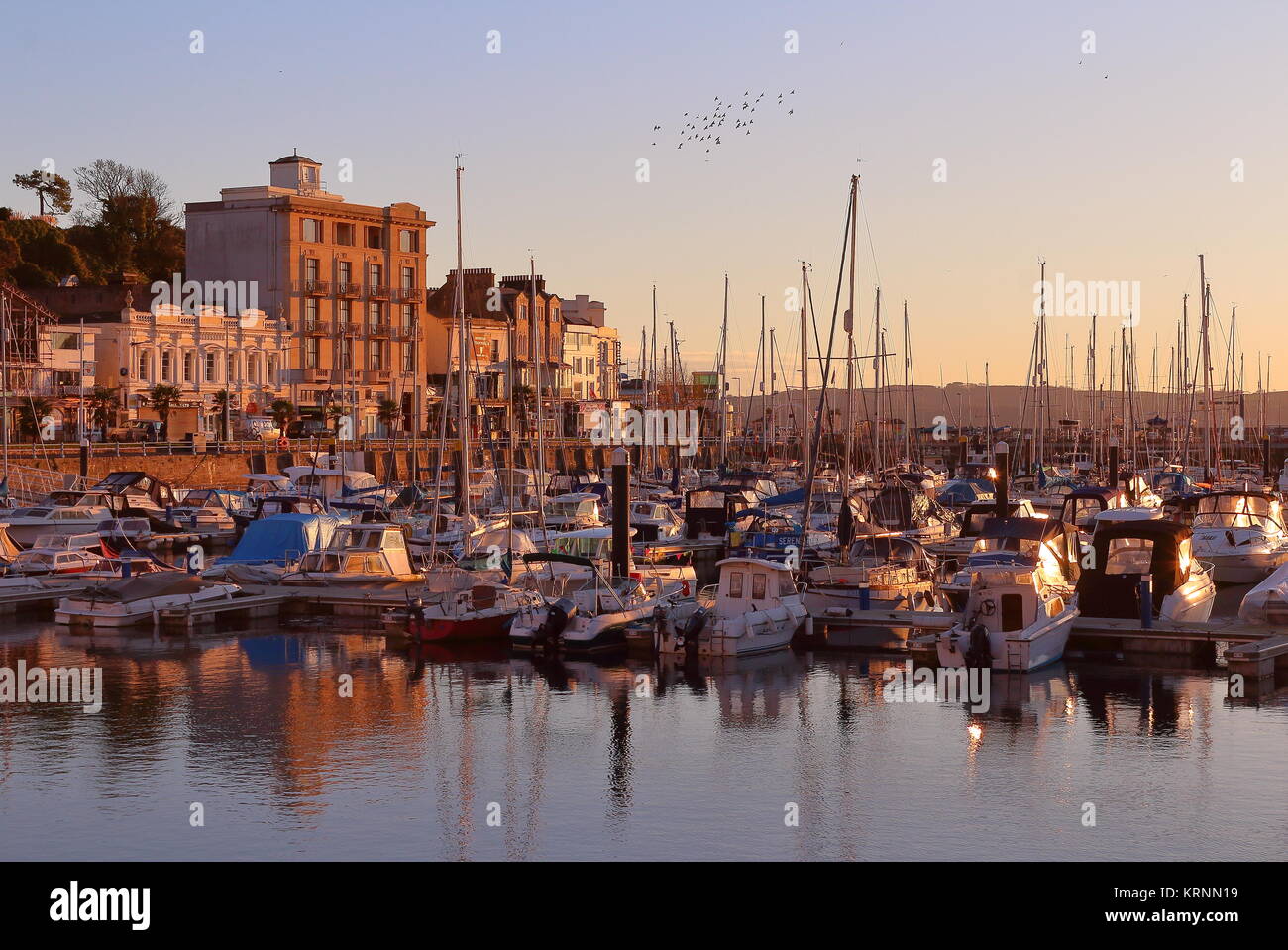 Golden evening light over Torquay harbour, looking towards Victoria ...