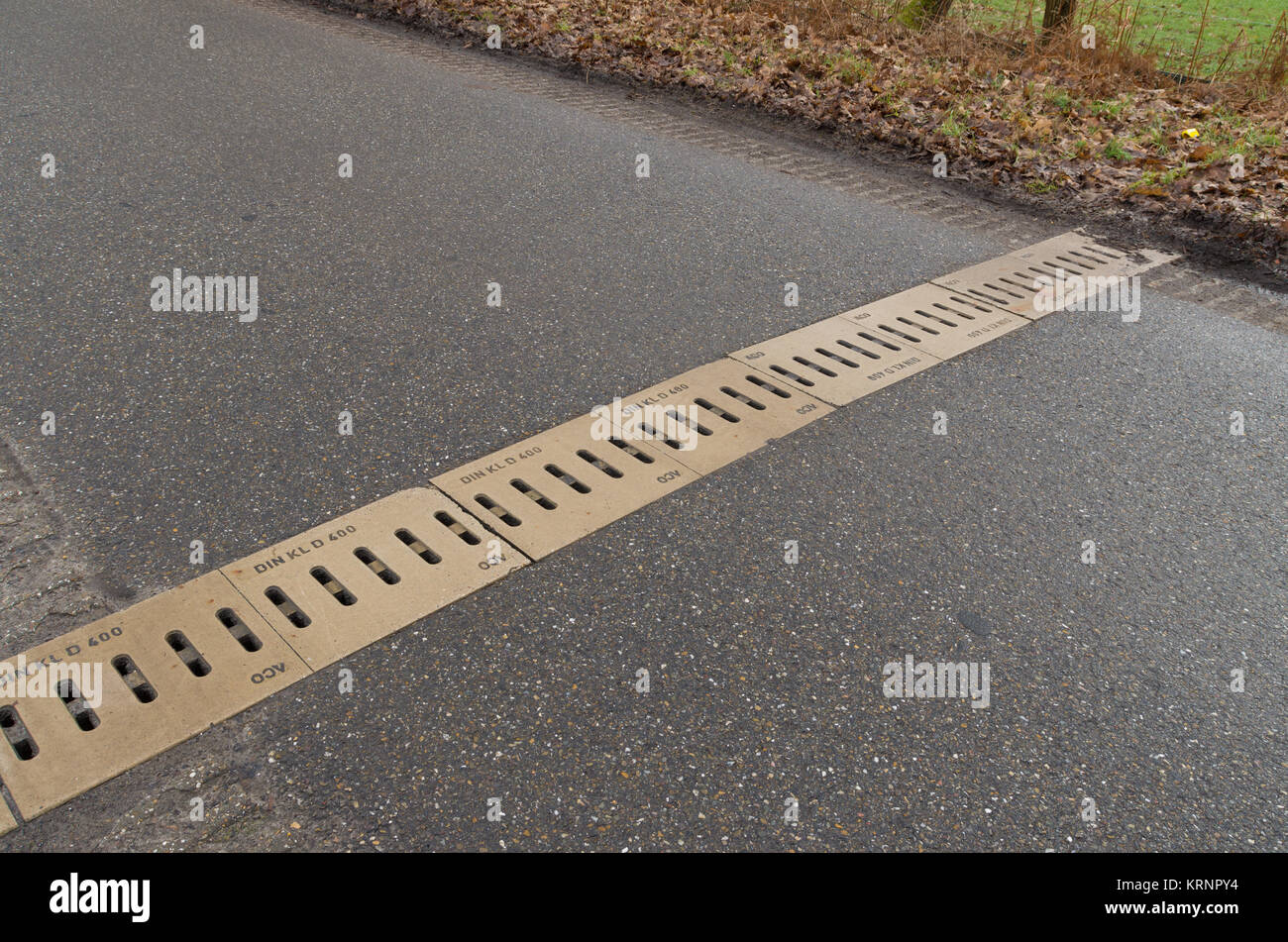 Toads crossing road hi-res stock photography and images - Alamy