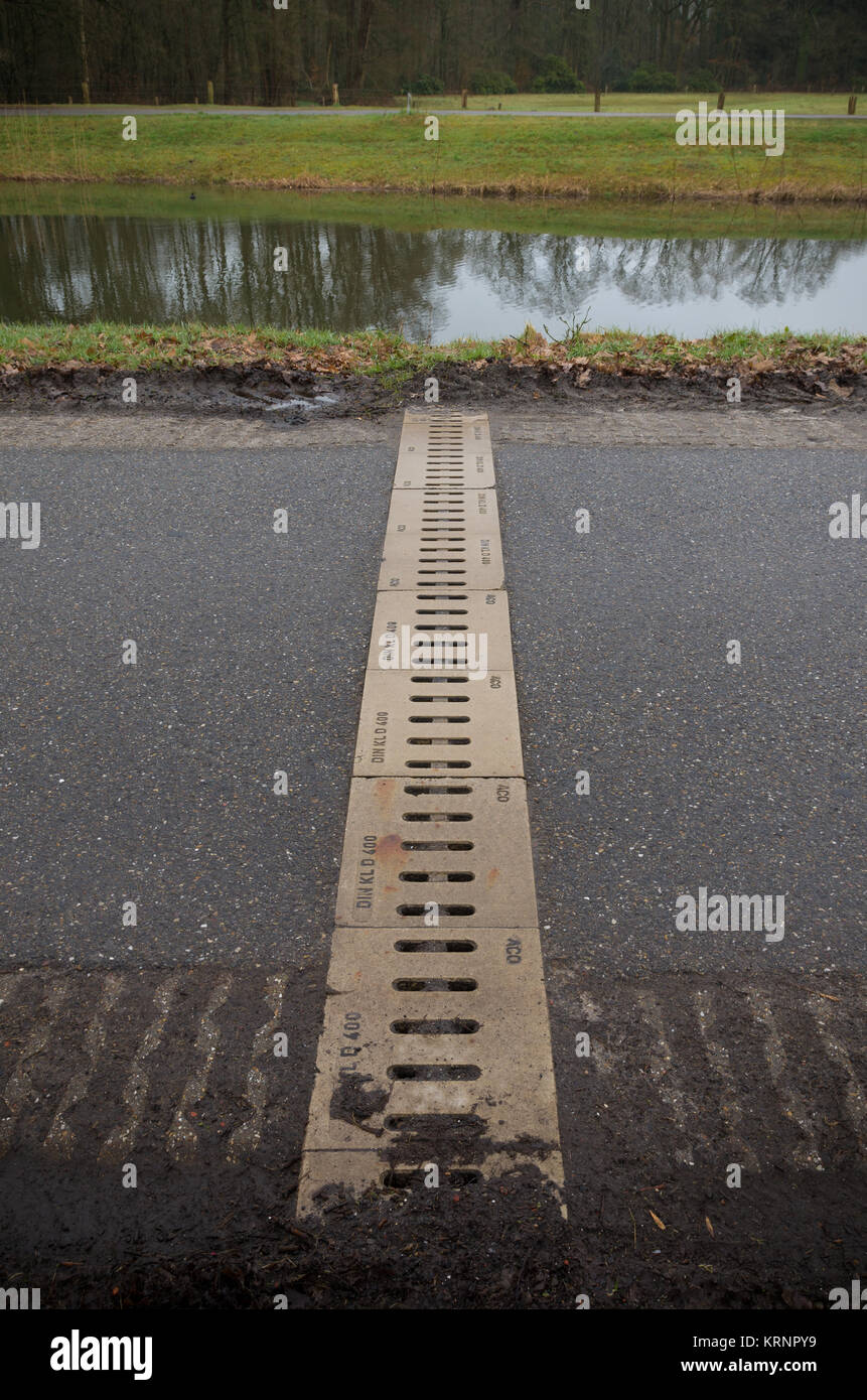 Toads crossing hi-res stock photography and images - Alamy