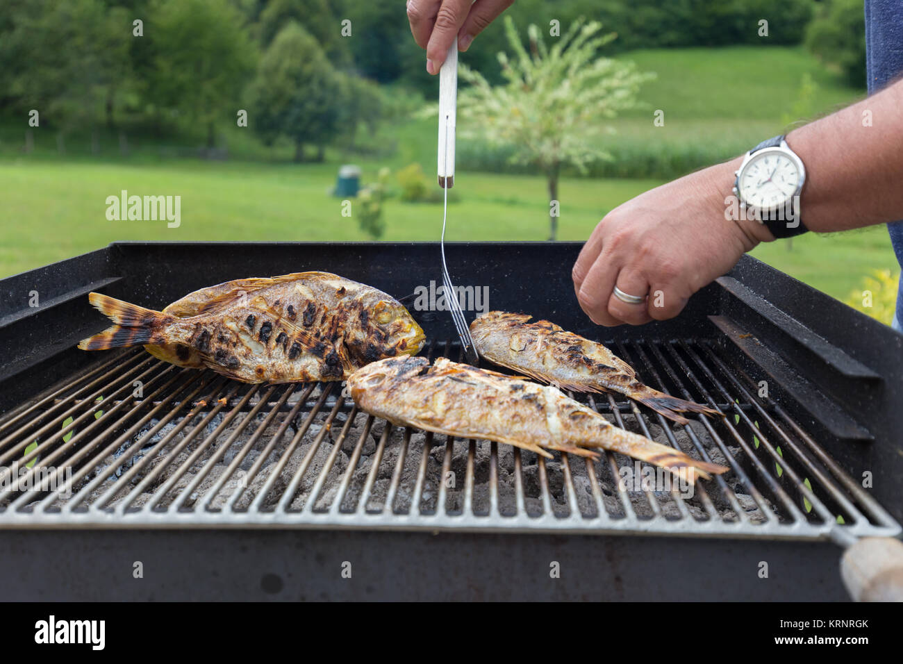 Fish Fried On The Grill Outdoor Stock Photo - Alamy