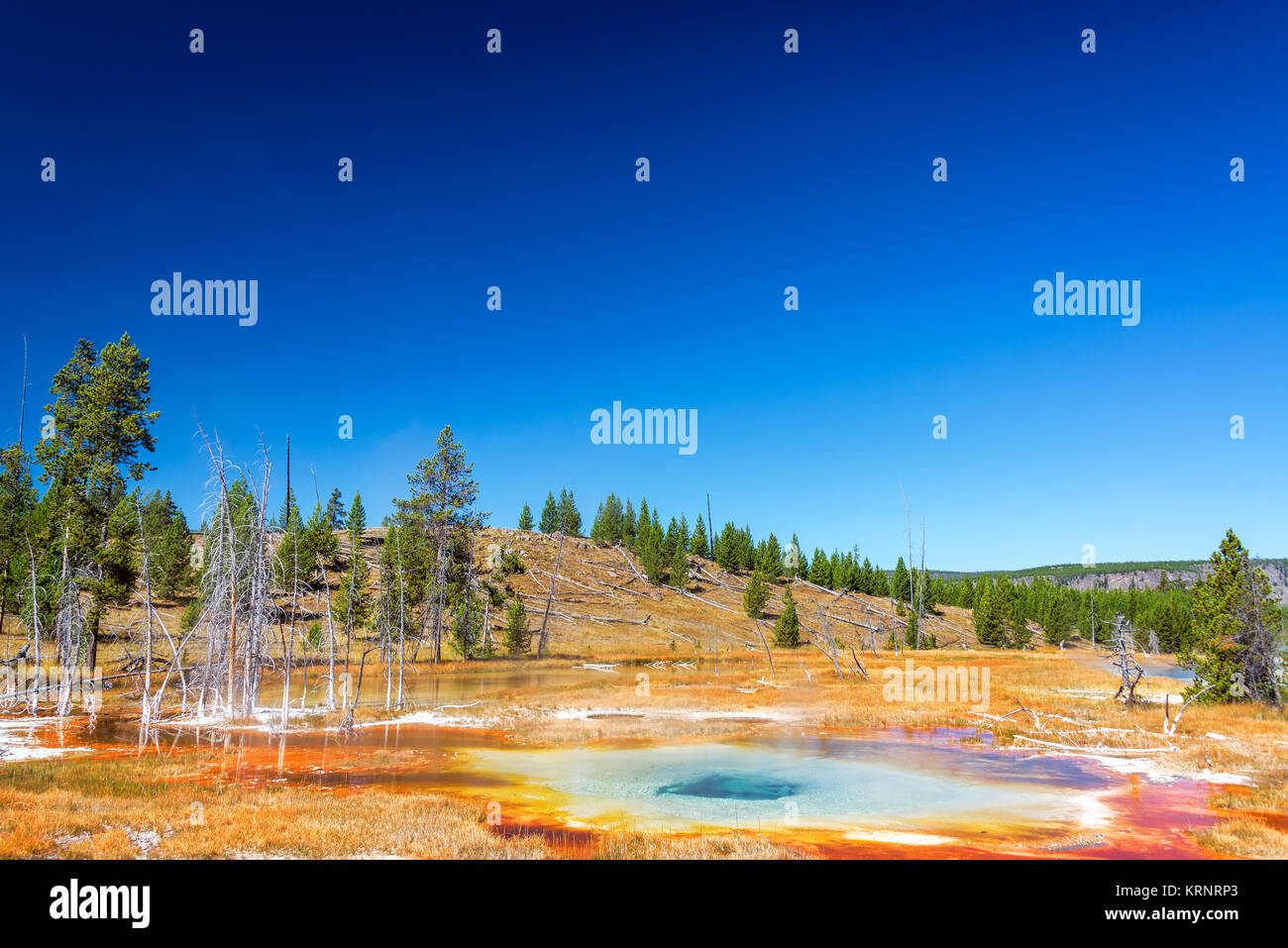 Beautiful Colors in Yellowstone Stock Photo - Alamy