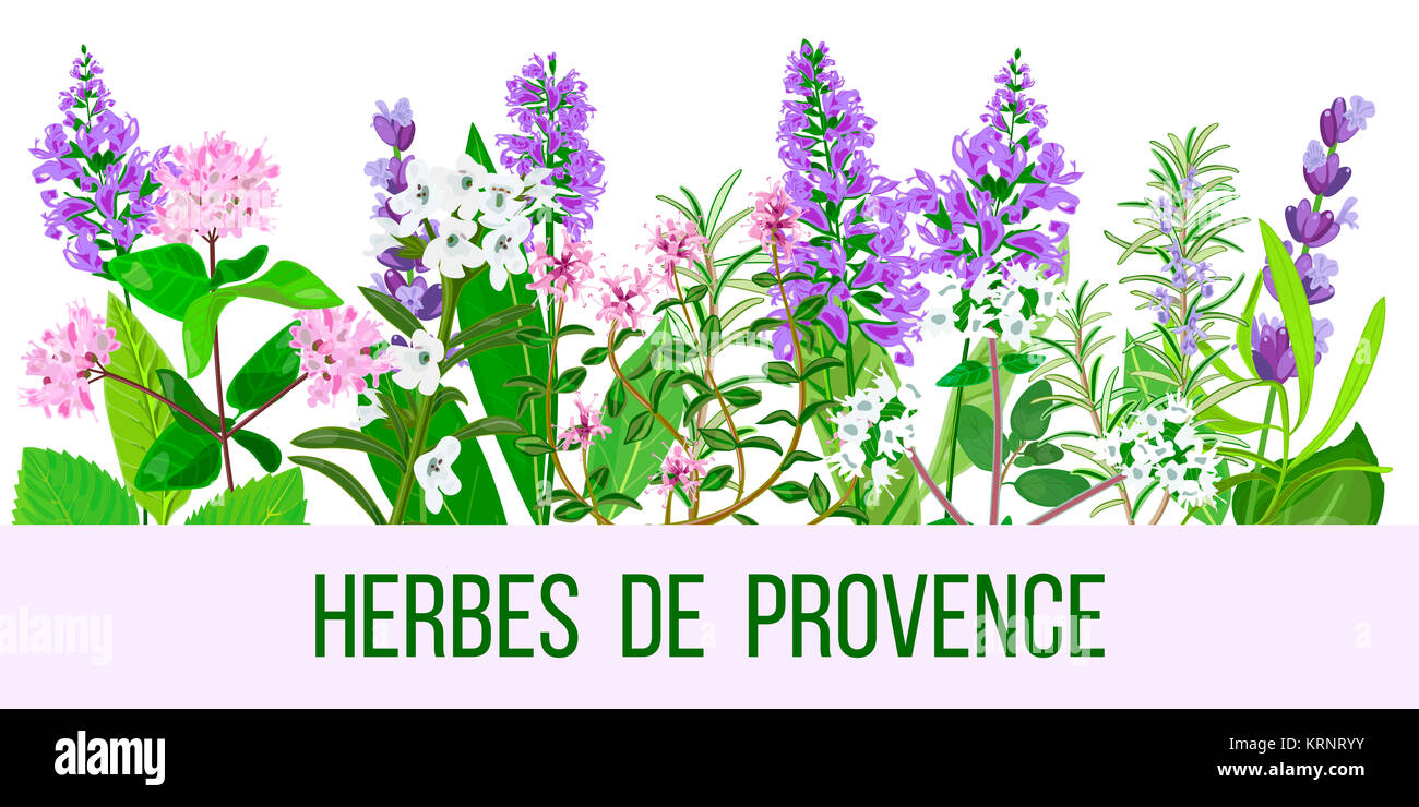Stylized herbal backgrounds in wide-screen format Stock Photo - Alamy