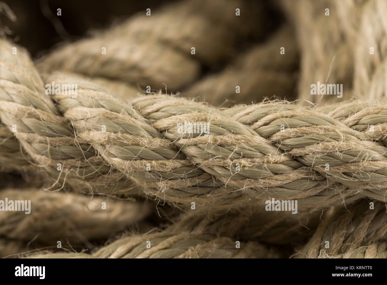 Old rope close up Stock Photo - Alamy
