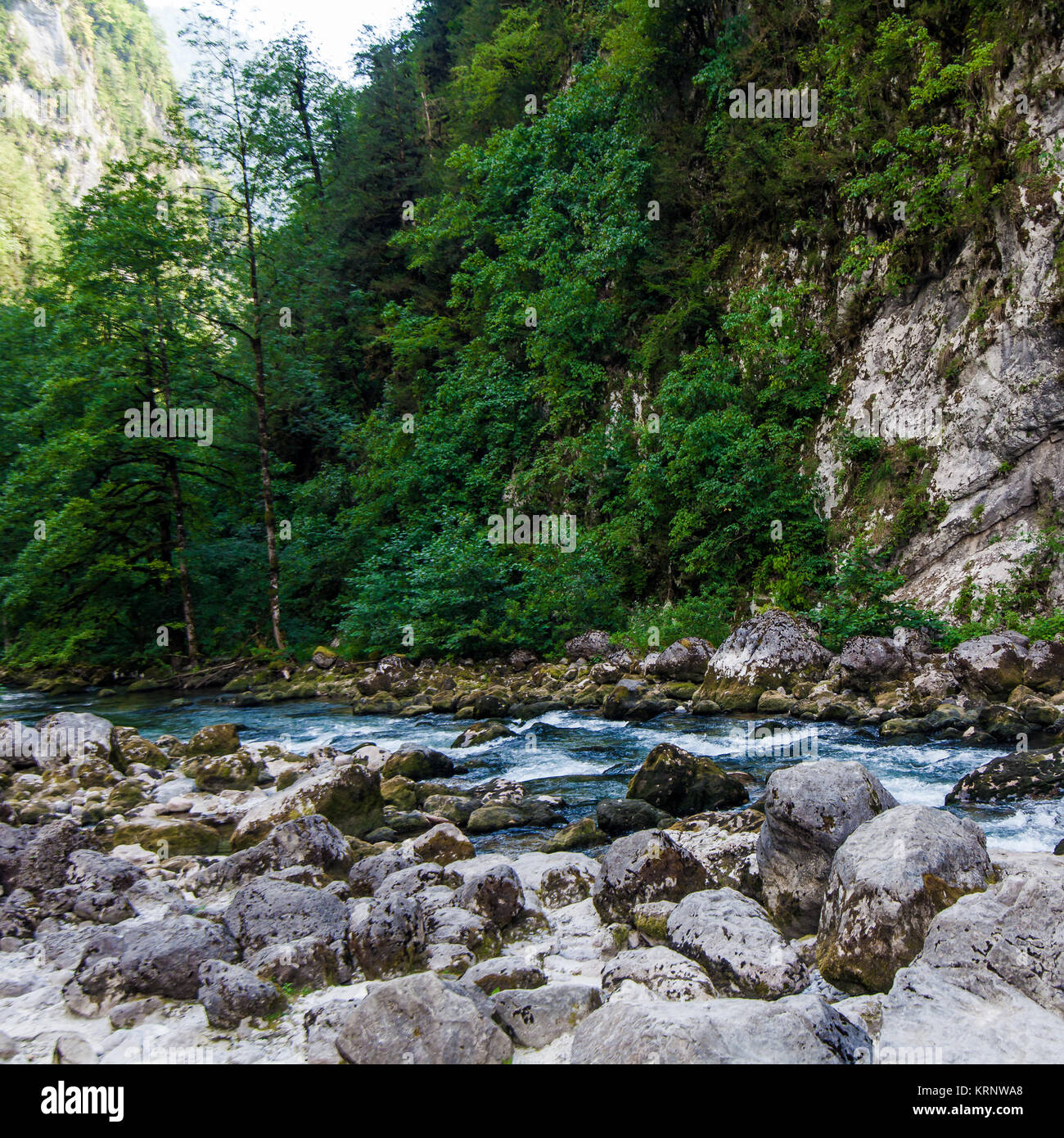 mountain river. Nature composition. landscape with mountains trees and ...