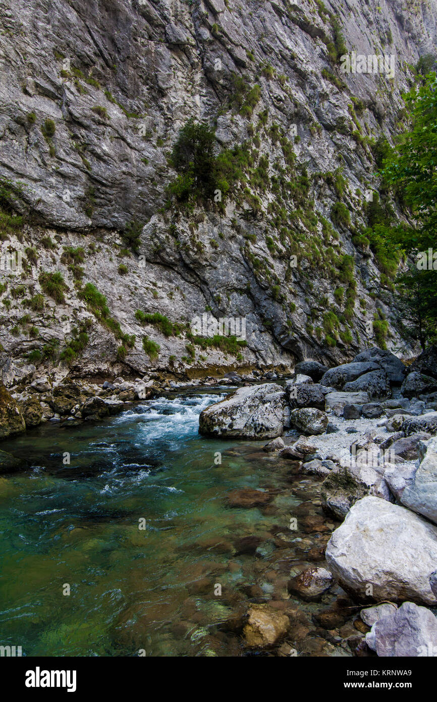mountain river. Nature composition. landscape with mountains trees and ...