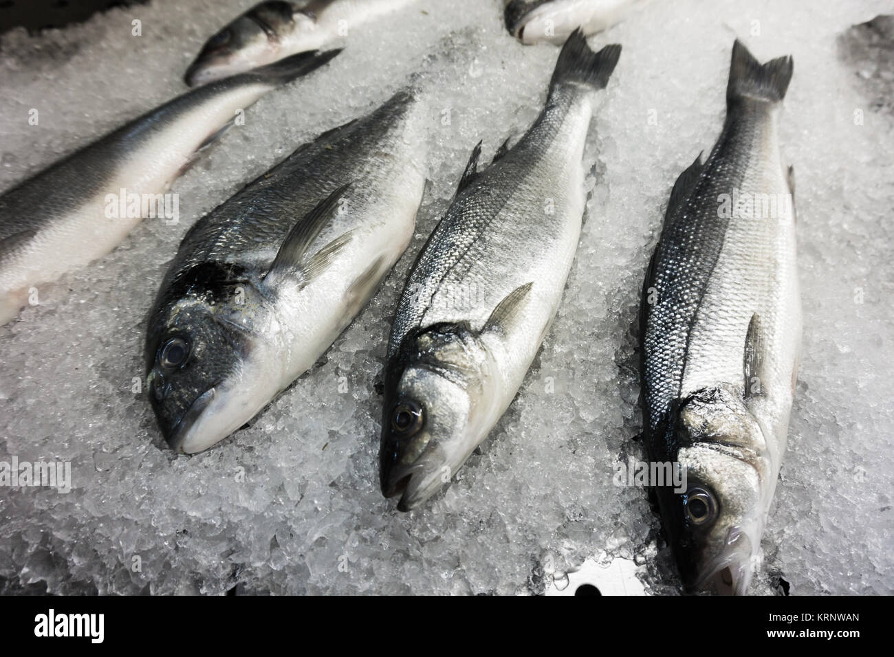 fresh fish on ice Stock Photo - Alamy