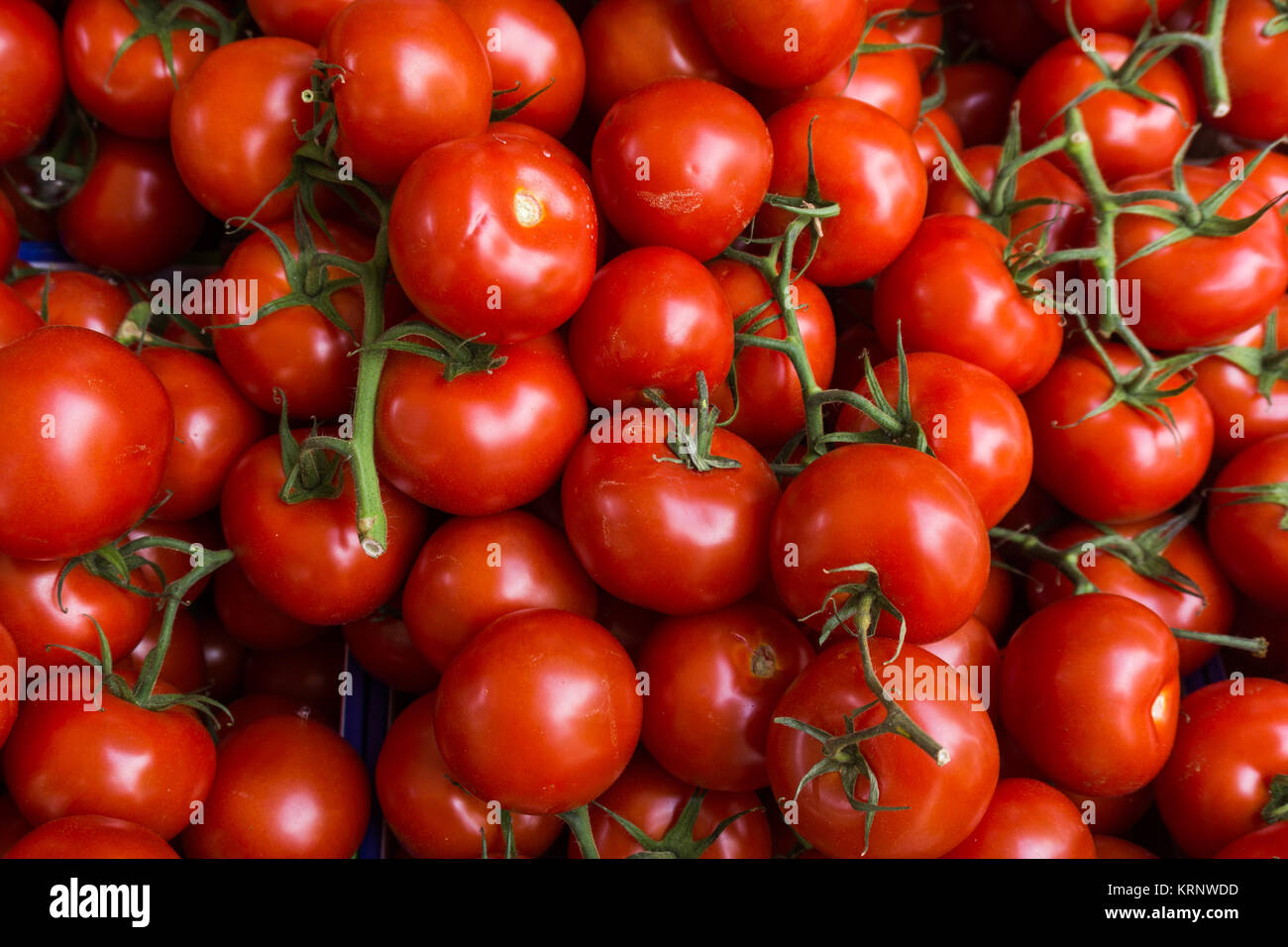 fresh tomatoes. red tomatoes background. Group of tomatoes Stock Photo ...