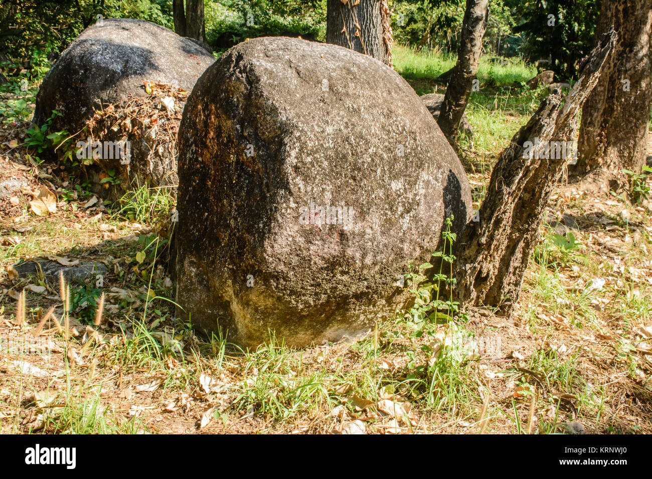 photo of big stones and rocky land in the forest Stock Photo - Alamy