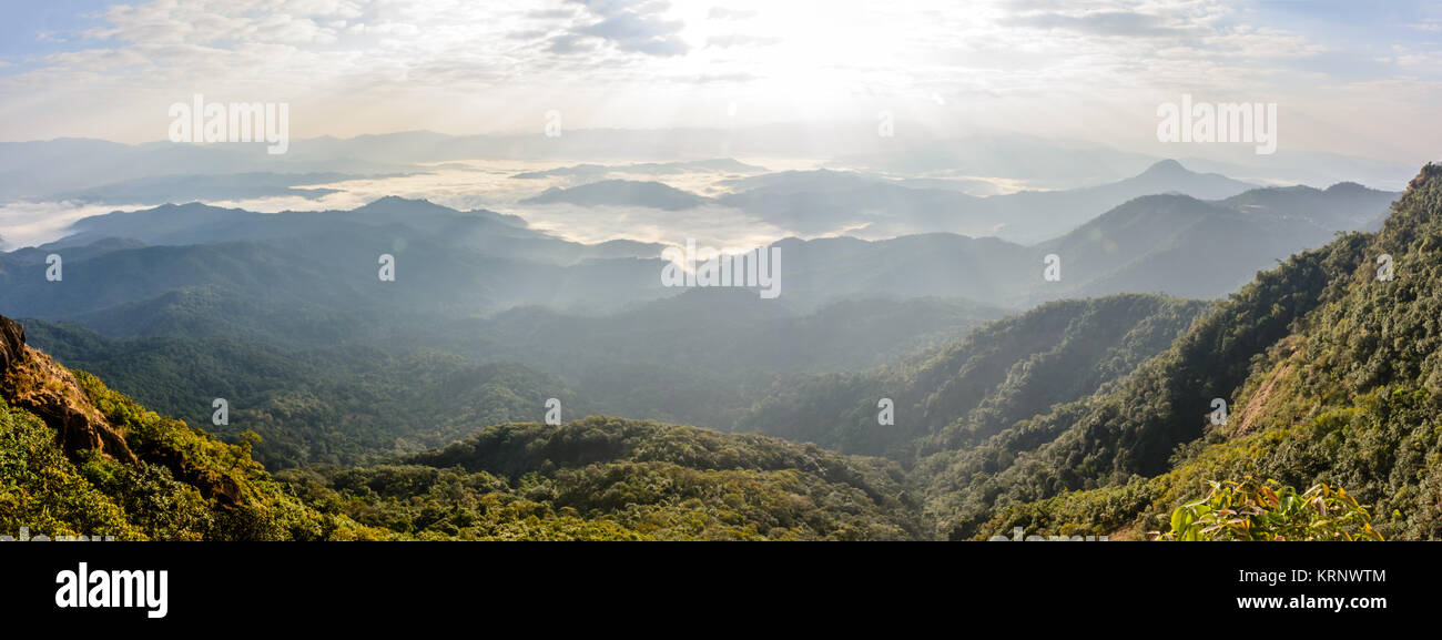 Burma myanmar forest hi-res stock photography and images - Alamy