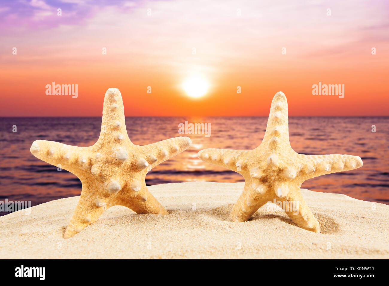 Summer concept. starfish on a beach Stock Photo - Alamy