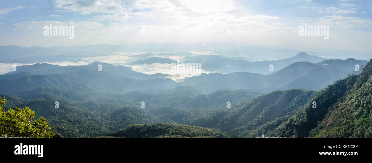 Burma forest hi-res stock photography and images - Alamy