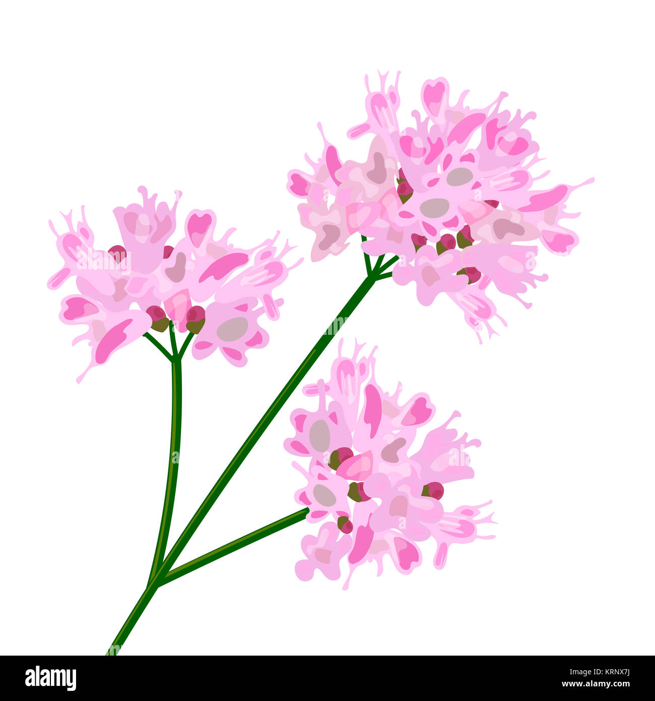 Shablon hi-res stock photography and images - Alamy