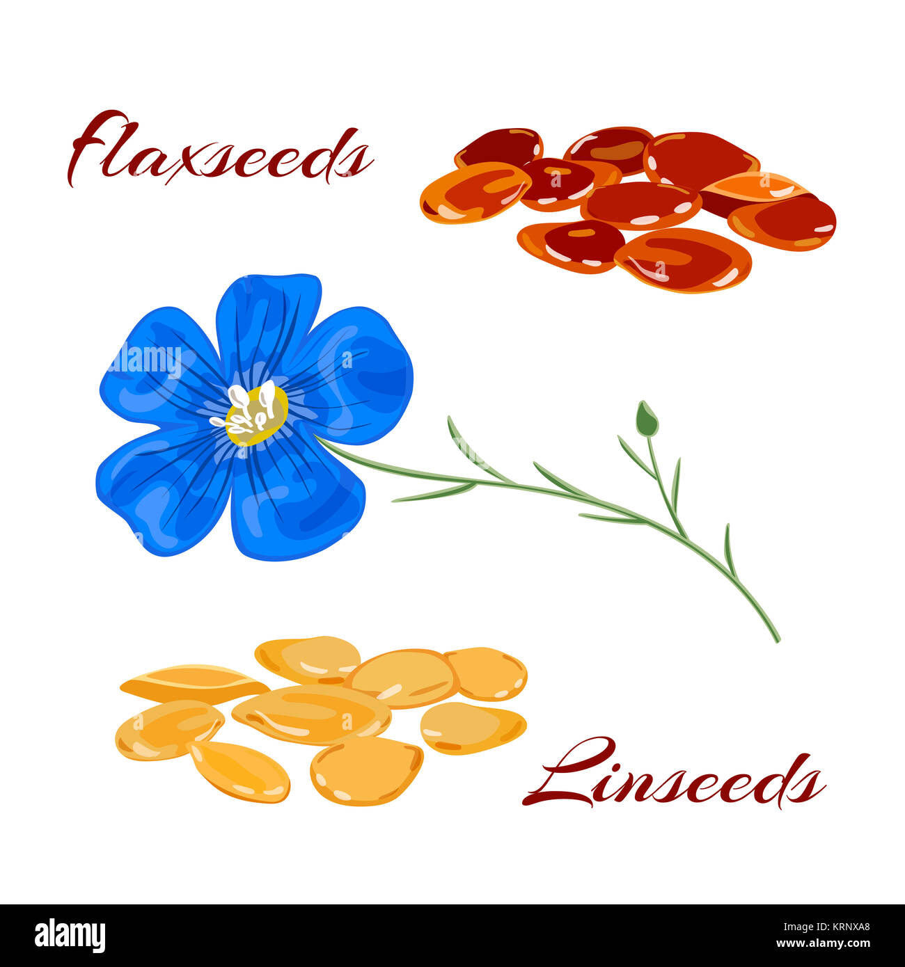 Blue food aliment flower Cut Out Stock Images & Pictures - Alamy
