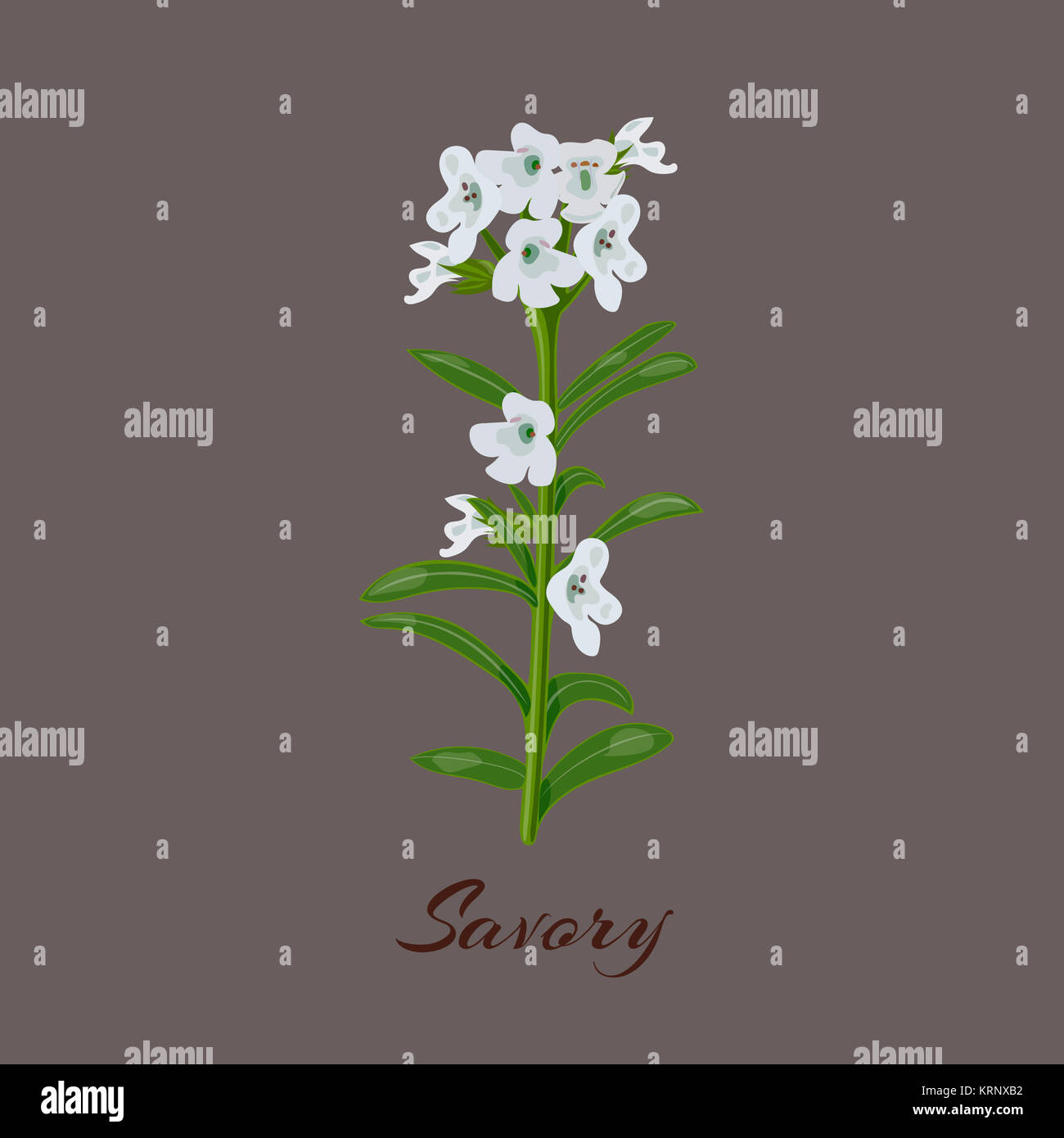 Shablon hi-res stock photography and images - Alamy