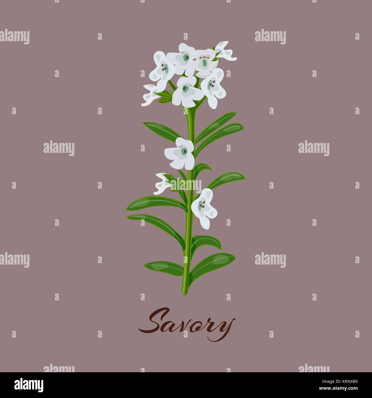 Shablon hi-res stock photography and images - Alamy