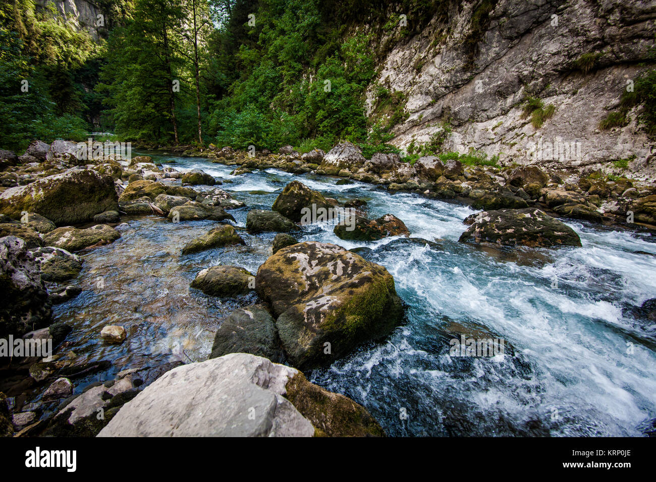 mountain river. Nature composition. landscape with mountains trees and ...
