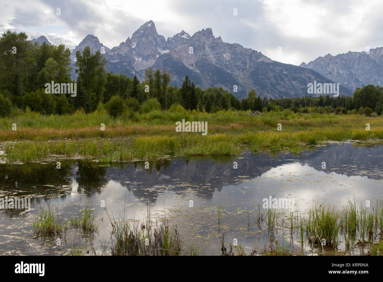 Snake River 2 Stock Photo - Alamy