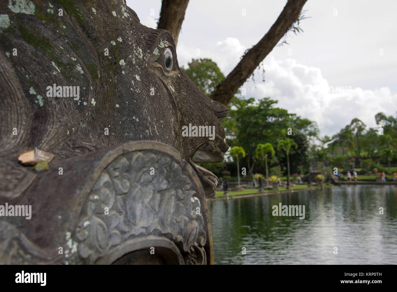 Rooftop tree bali indonesia hi-res stock photography and images - Alamy