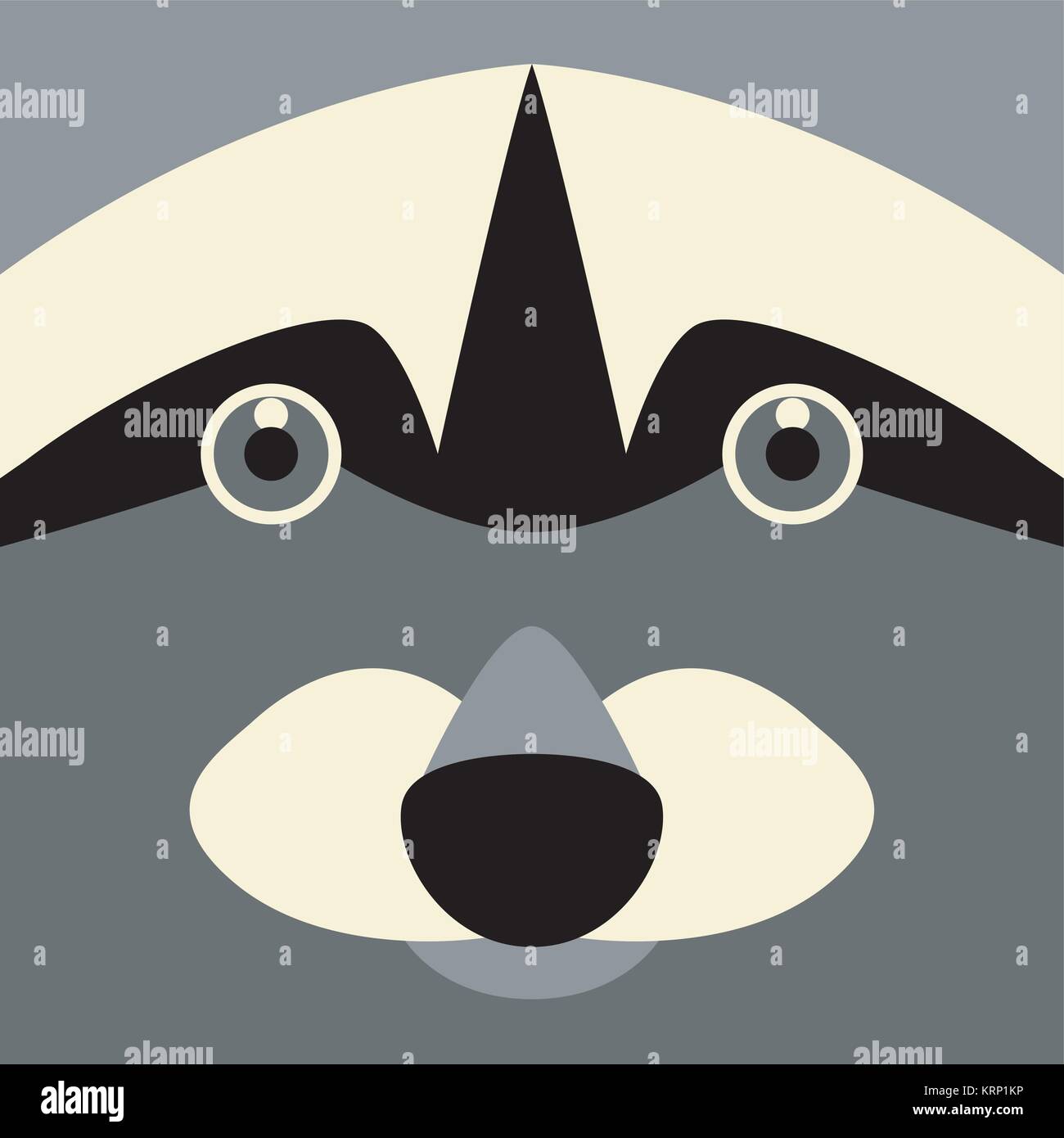 Pet racoon Stock Vector Images - Alamy