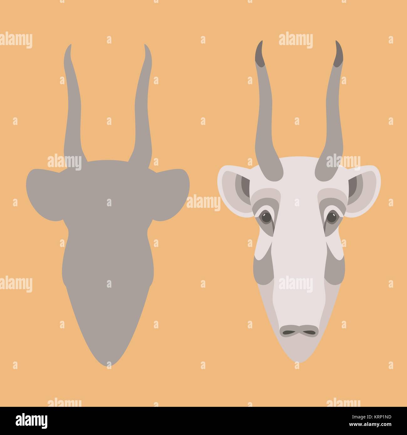 Saiga tatarica kazakhstan hi-res stock photography and images - Alamy