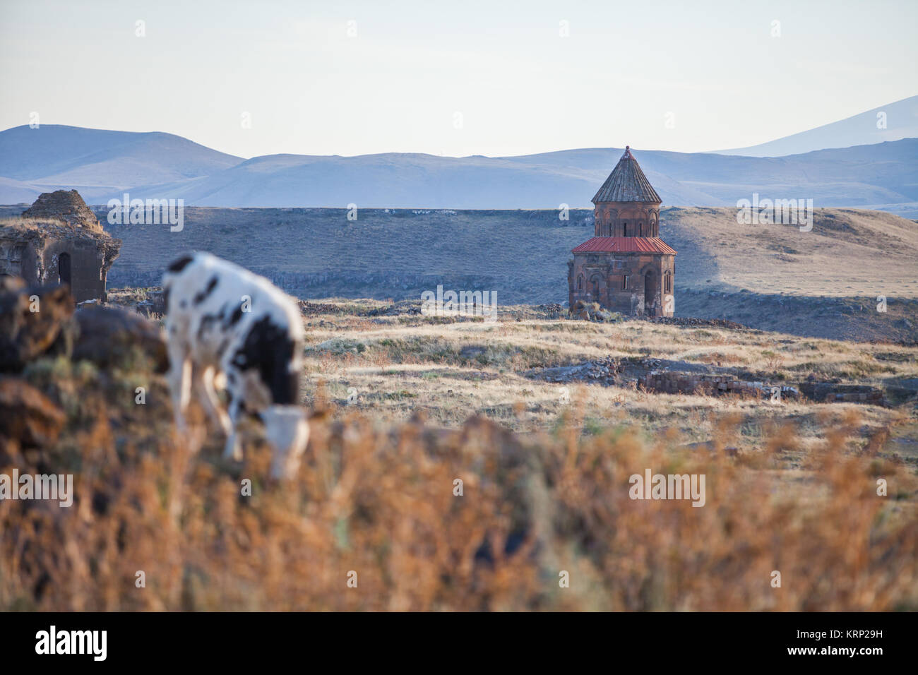 Ani ruins in Turkey Stock Photo - Alamy